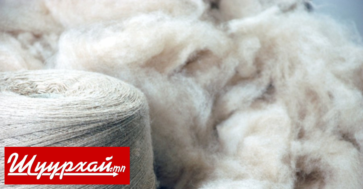 ХХААХҮЯ Тогтвортой ноолуур үйлдвэрлэлийг шинэ шатанд гаргалаа