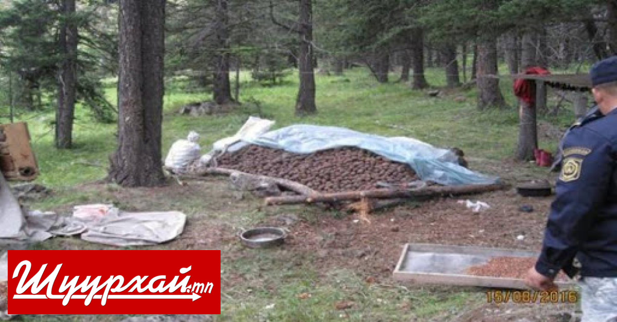 ШУУРХАЙ: Самарт явж байсан 6 иргэн автомашиндаа нас баржээ