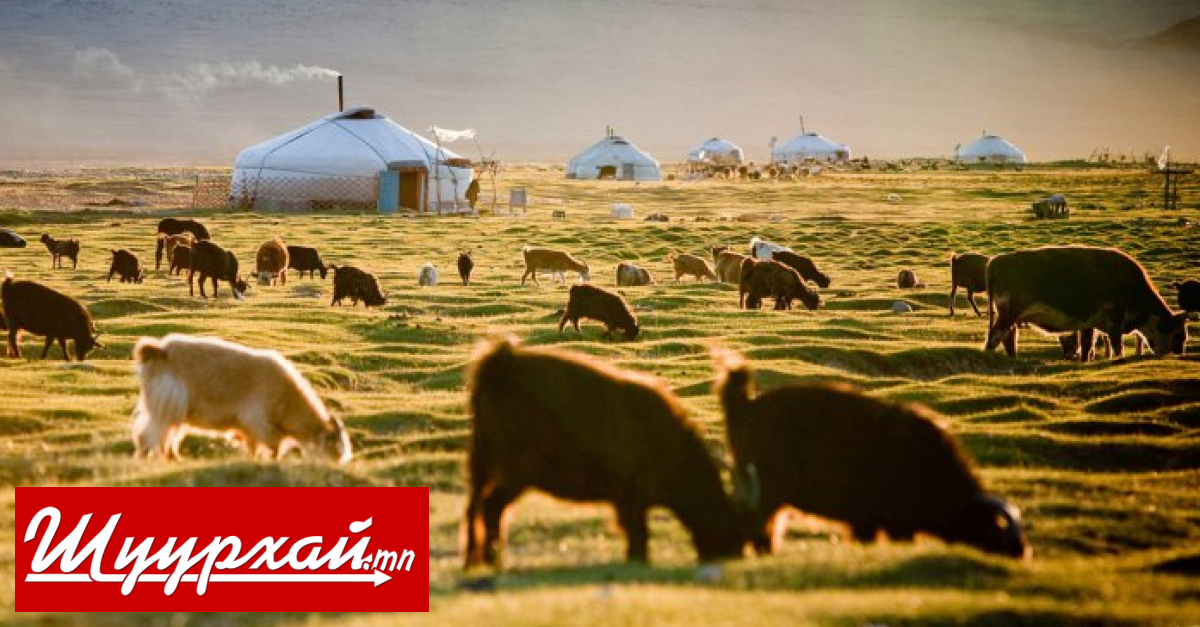 Гэрээт малчнаар ажиллах хүсэлтэй иргэдийг бүртгэж байна