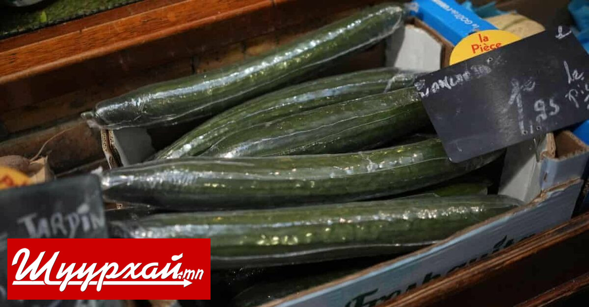 Франц улс жимс хүнсний ногоог хуванцар материалд савлаж боохыг