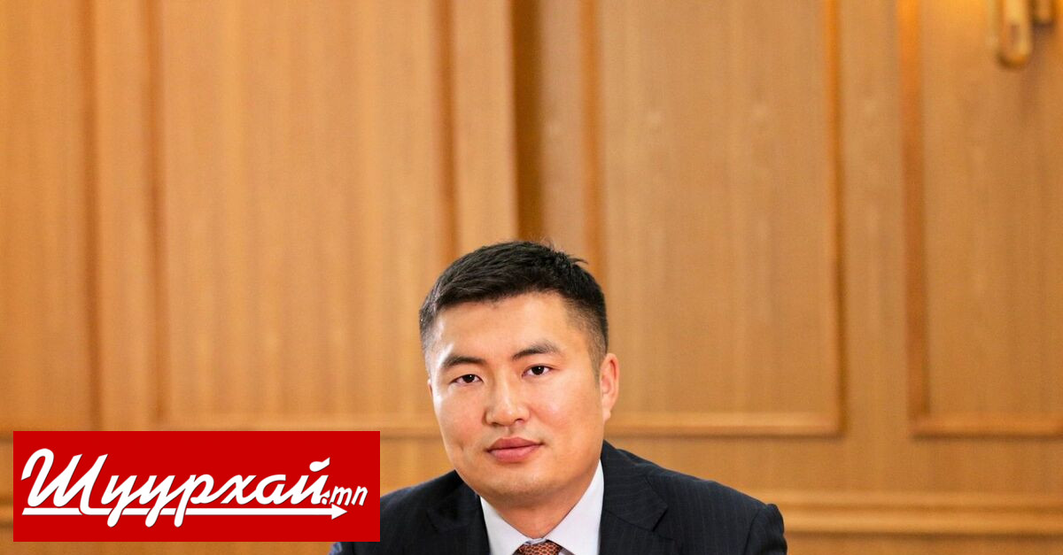 ЗГ Хөгжлийн банкны Гүйцэтгэх захирал асан Н Мандуулыг ШӨХТГ ын даргаар томиллоо