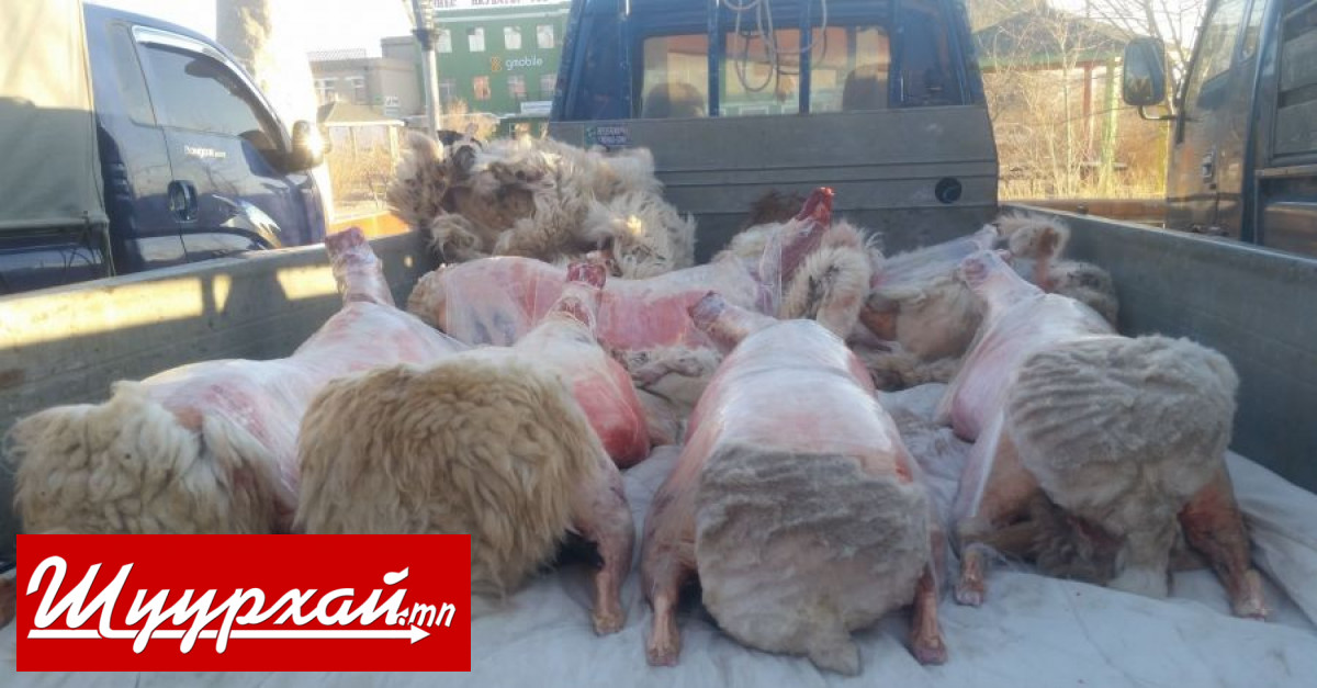 “Хүчит шонхор” захад ууц 240-600 мянган төгрөгийн ханштай байна