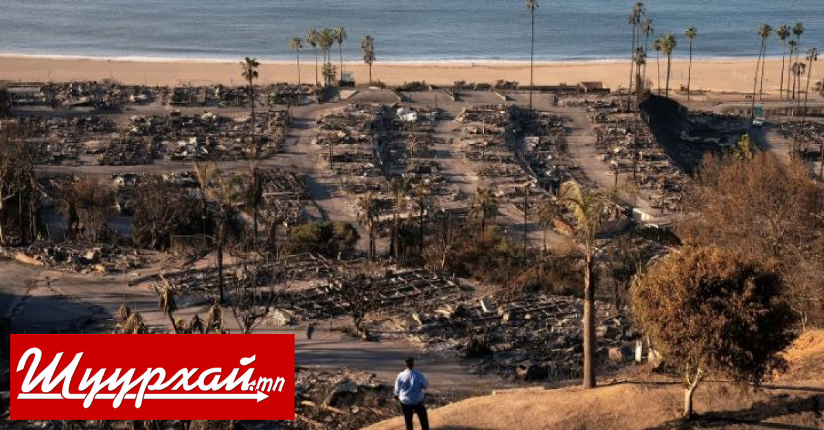 Уршигт түймрийн уг шалтгаан, хүний хүчин зүйлс